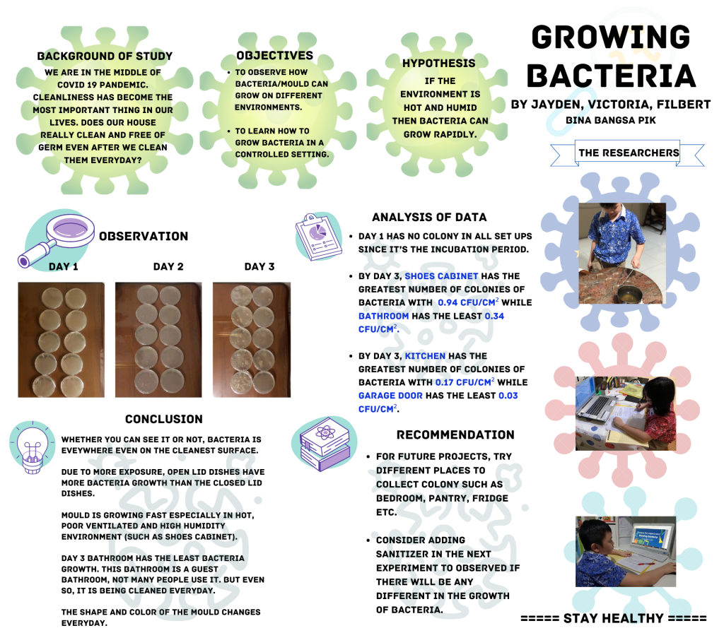 Growing Bacteria – Project Fair