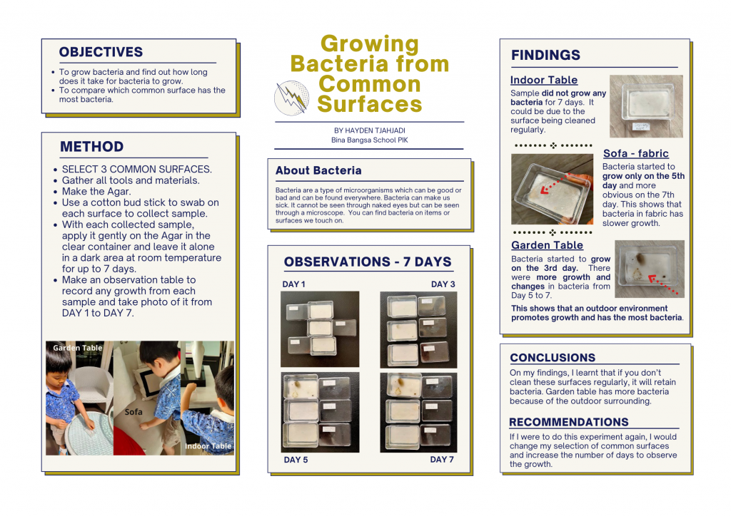 Growing Bacteria from Common Surfaces – Project Fair