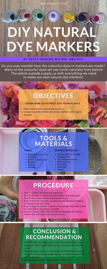 DIY Natural Dye Marker – Project Fair