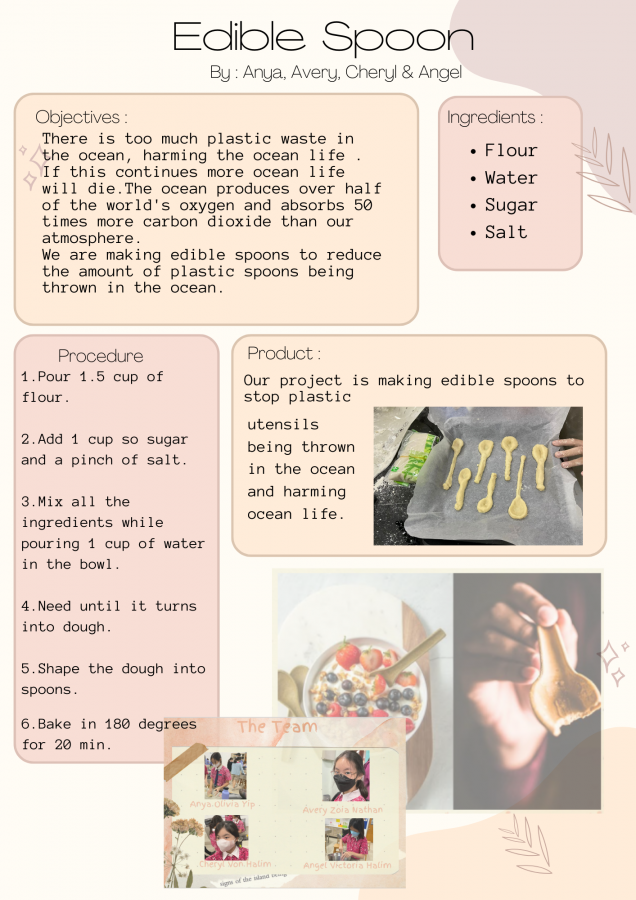 Edible Spoon – Project Fair